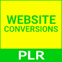 Website Conversions Best Practices – Full PLR