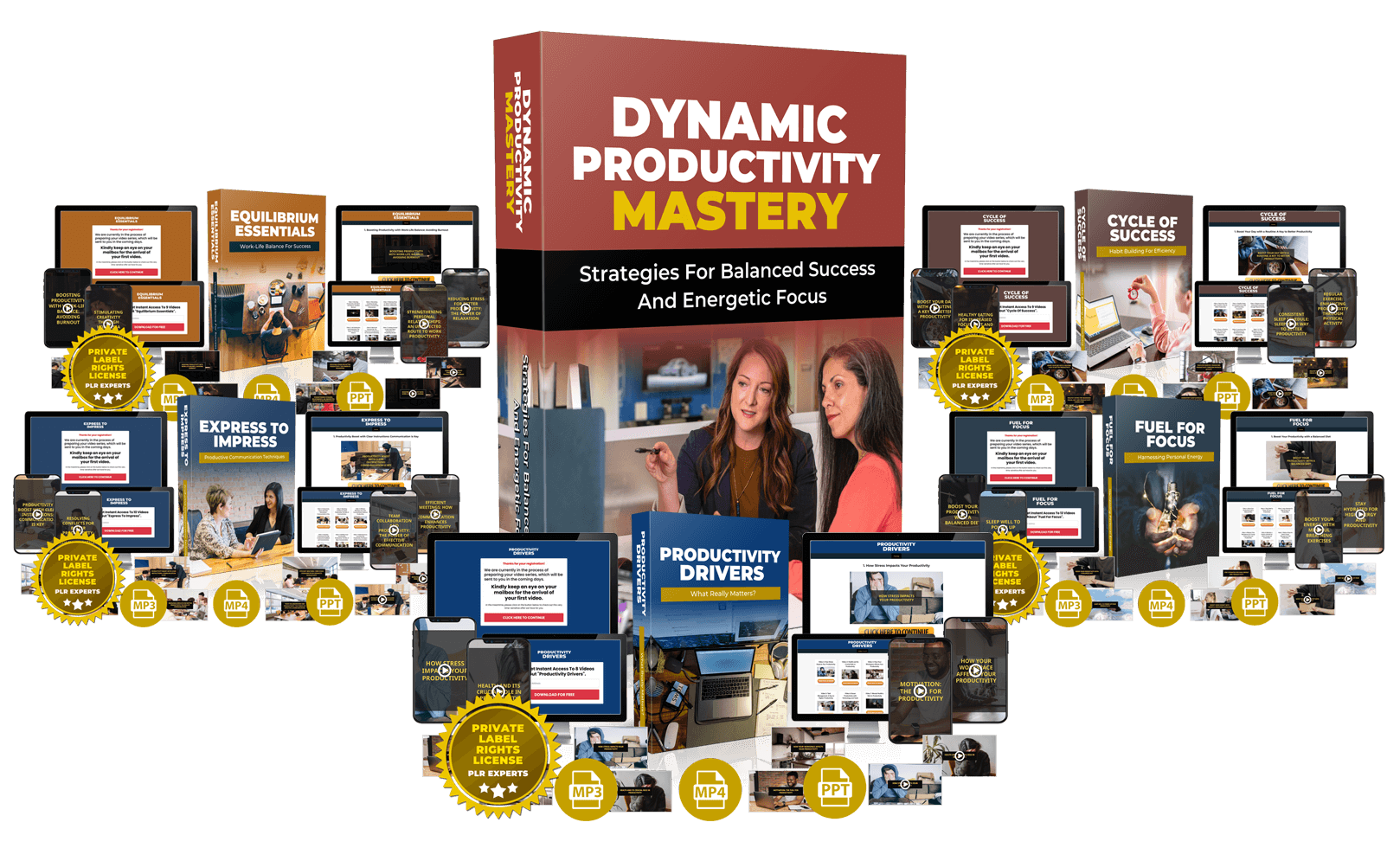 Dynamic Productivity Mastery - 50 PLR Videos
